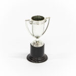 Terrific Trophies - South Africa's Leading Trophy & Medal Shop