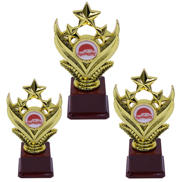 Motorsport/Car Show Gold Star Award Trophy Combo Set - Terrific Trophies