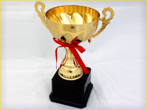 Terrific Trophies - South Africa's Leading Trophy & Medal Shop